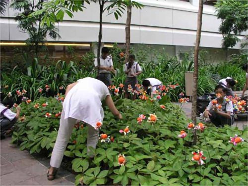 Garden of Life